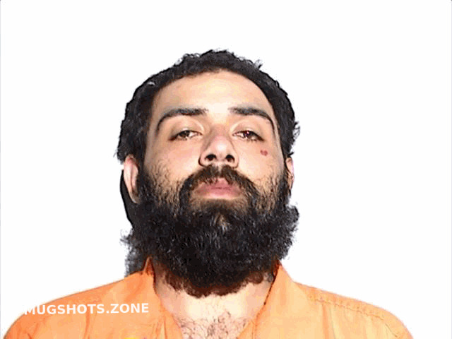AMBROSE CHAD 04/13/2023 - Lucas County Mugshots Zone