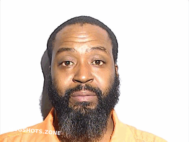 JAMISON VONDELL NELSON 04/22/2023 - Lucas County Mugshots Zone