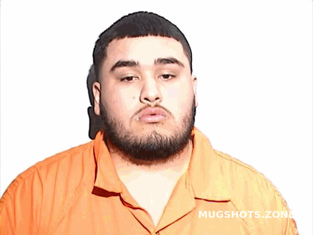 VASQUEZ DOMINICK DANIEL 04/29/2023 - Lucas County Mugshots Zone