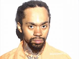 Lucas County Mugshots Zone