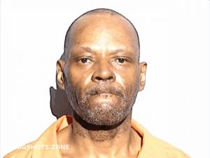 Lucas County Mugshots Zone