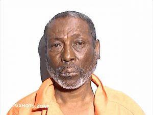 Lucas County Mugshots Zone