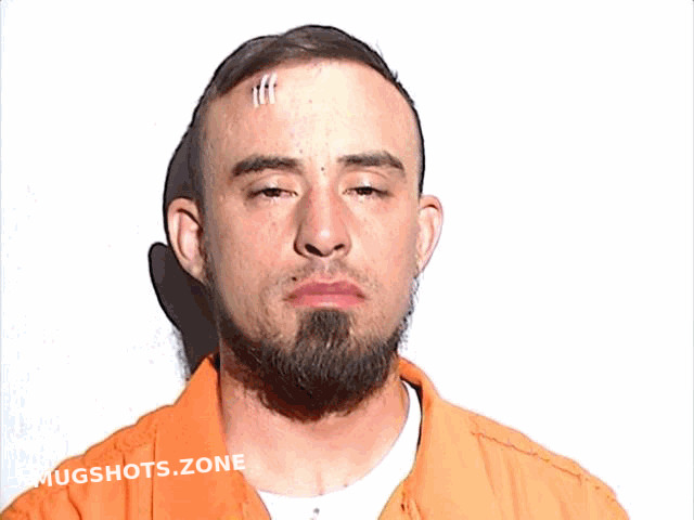 FALLON SCOTT EDWARD 05/18/2023 - Lucas County Mugshots Zone