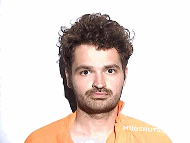 DILLINGER LOGAN JOHN 06/02/2023 - Lucas County Mugshots Zone