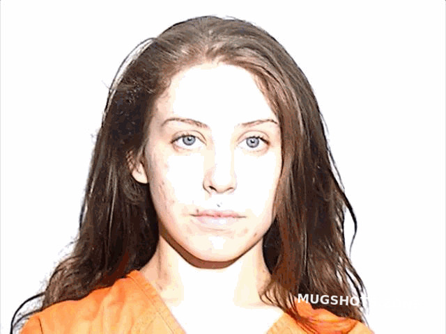 AYALON LIBBY NICOLE 06/11/2023 - Lucas County Mugshots Zone