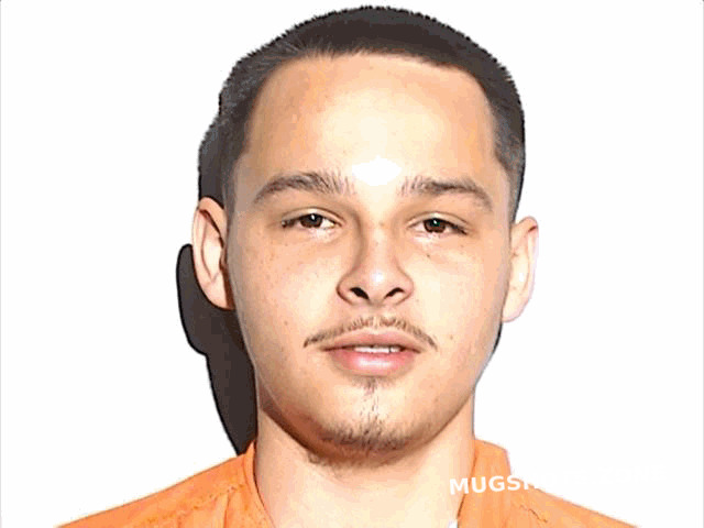 DUKEMAN CARLOS 06/14/2023 - Lucas County Mugshots Zone