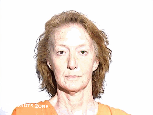 MECHLING ANGELA MICHELLE 06/16/2023 - Lucas County Mugshots Zone