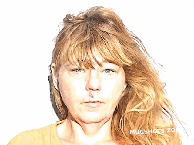 ROLLINS JODI L 06/18/2023 - Lucas County Mugshots Zone