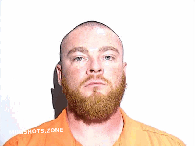 CURTIS SEAN P 06/30/2023 - Lucas County Mugshots Zone