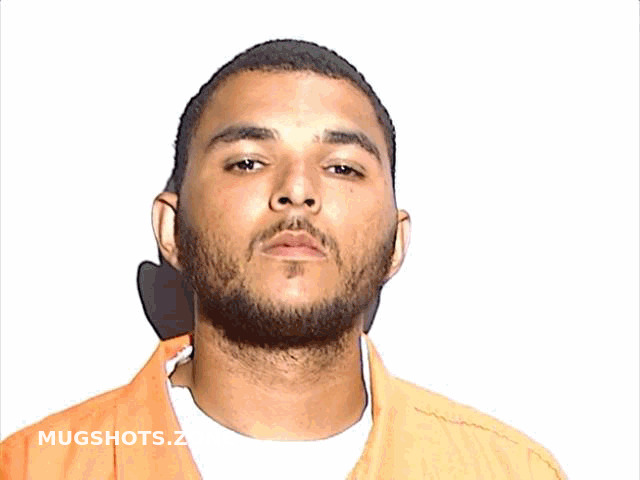 BUNN DARRIES GABRIEL 07/02/2023 - Lucas County Mugshots Zone