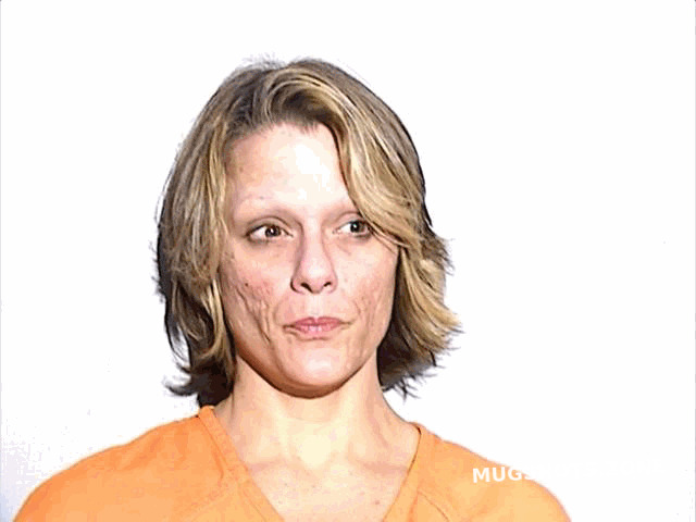 COOK JENNIFER ANN 07/05/2023 - Lucas County Mugshots Zone