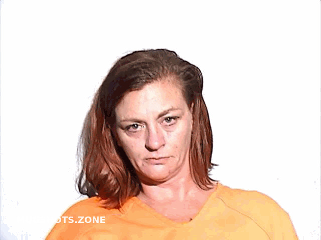 FOSTER SONYA MARIE 07/11/2023 - Lucas County Mugshots Zone