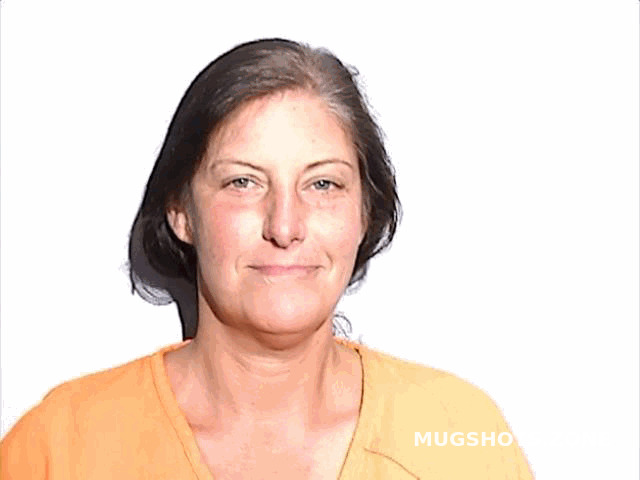 DALMAN STACEY LYNN 07/13/2023 - Lucas County Mugshots Zone DALMAN STACEY LYNN 07/13/2023 - Lucas County Mugshots Zone