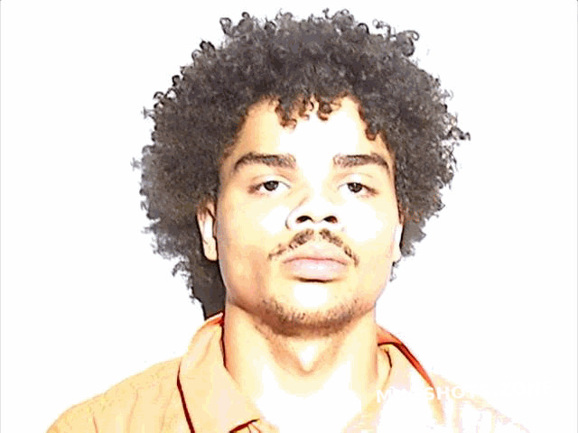 ADAMS JERMAINE WARDELL 07/20/2023 - Lucas County Mugshots Zone