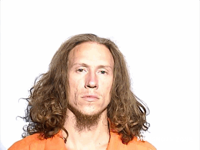 WEEMES JEREMY THOMAS 07/20/2023 - Lucas County Mugshots Zone