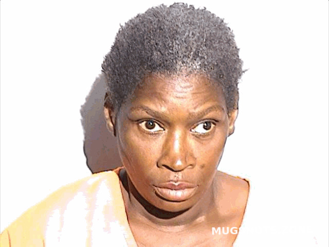 THOMAS LESLEY M 07/21/2023 - Lucas County Mugshots Zone