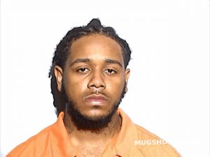 Lucas County Mugshots Zone