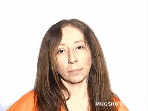 Lucas County Mugshots Zone