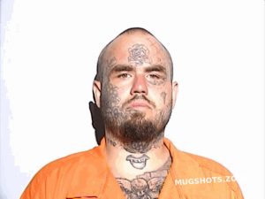 Lucas County Mugshots Zone