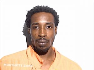 Lucas County Mugshots Zone