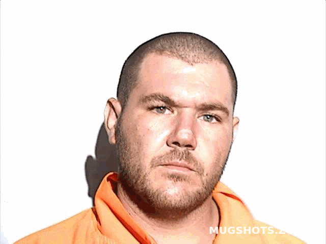 REHDER ALEXANDER RYAN 07/28/2023 - Lucas County Mugshots Zone