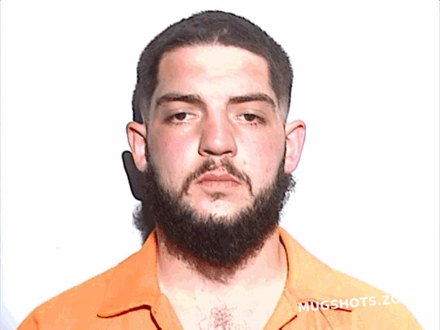 FOUT SHANE EDWARD-ALLEN 08/01/2023 - Lucas County Mugshots Zone