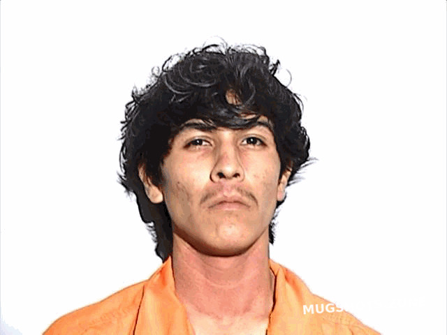 MARTINEZ DAMION ANGEL 08/11/2023 - Lucas County Mugshots Zone