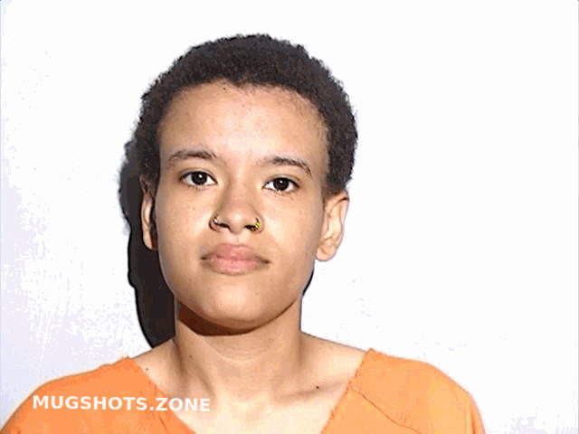 TISDALE DAISHA MARIE 08/14/2023 - Lucas County Mugshots Zone