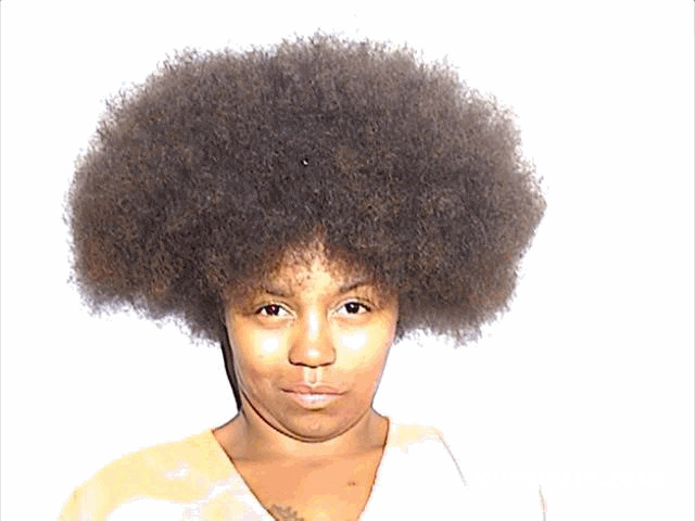SIMMONS IESHA SAMONE 08/15/2023 - Lucas County Mugshots Zone