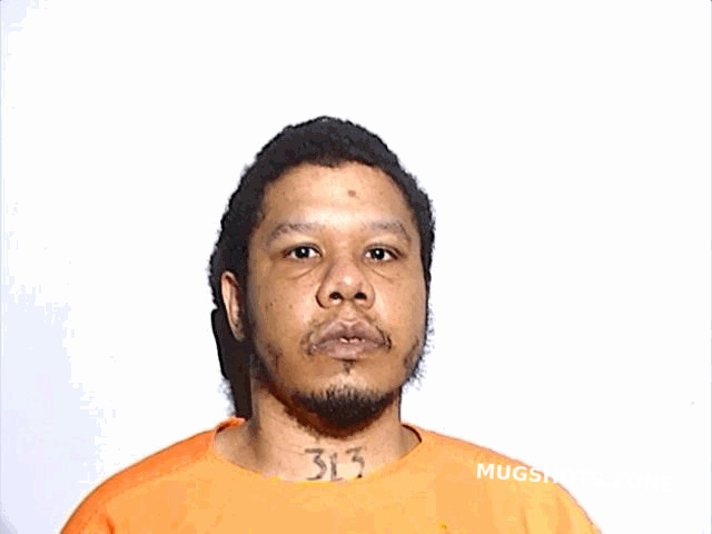 REED RUSSELL JAMES JR 08/25/2023 - Lucas County Mugshots Zone