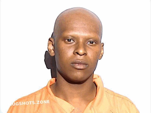 ROBERSON SETH SAADIQ 08/28/2023 - Lucas County Mugshots Zone