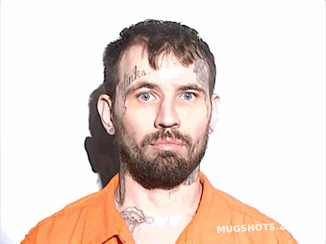 PACELLI JUSTIN JAY 08/30/2023 - Lucas County Mugshots Zone