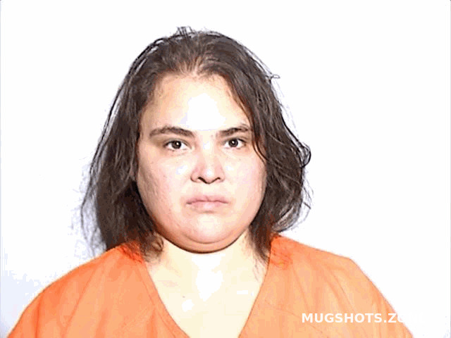 TOLIN LAUREL ELIZABETH 09/05/2023 - Lucas County Mugshots Zone