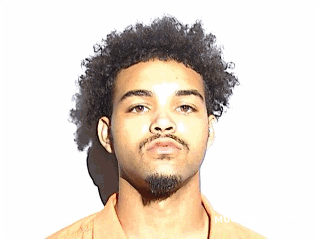 BERNING DAVION JOSHUA 09/08/2023 - Lucas County Mugshots Zone