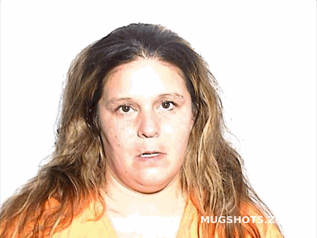 VANARSDALEN DANYEL LOUISE 10/03/2023 - Lucas County Mugshots Zone