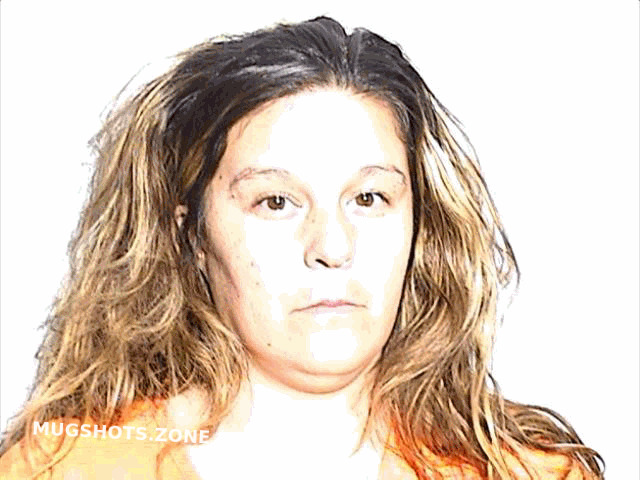 VANARSDALEN DANYEL LOUISE 10/22/2023 - Lucas County Mugshots Zone