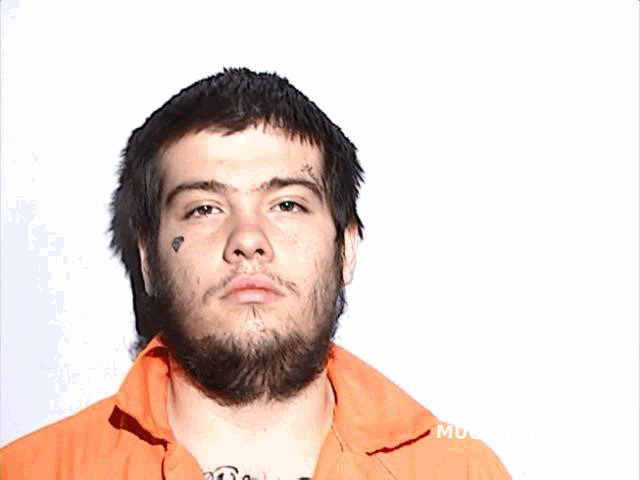 LEACH DYLAN LEE 10/25/2023 - Lucas County Mugshots Zone