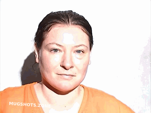 HESS TERRI ELIZABETH 10/27/2023 - Lucas County Mugshots Zone