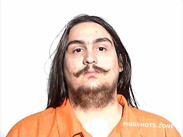 STEINLINE JEREMY NATHANIEL 11/07/2023 - Lucas County Mugshots Zone