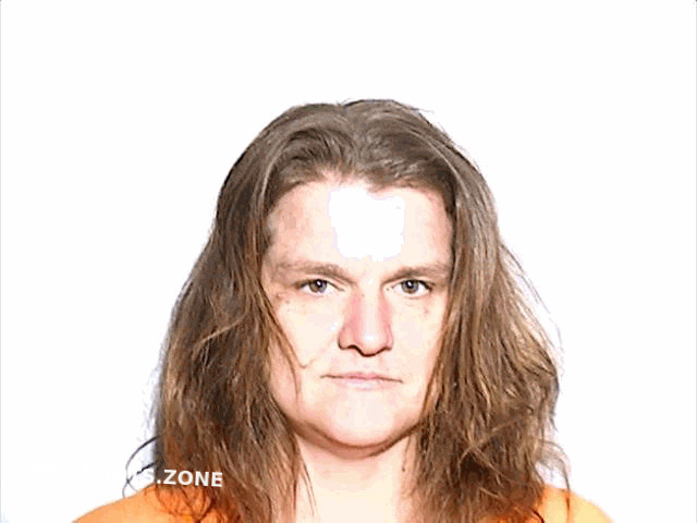 MONTGOMERY ROSEMARY ROSE 11/07/2023 - Lucas County Mugshots Zone
