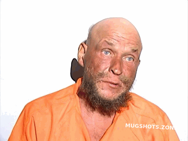 FOXWELL JAY ALLEN 11/11/2023 - Lucas County Mugshots Zone