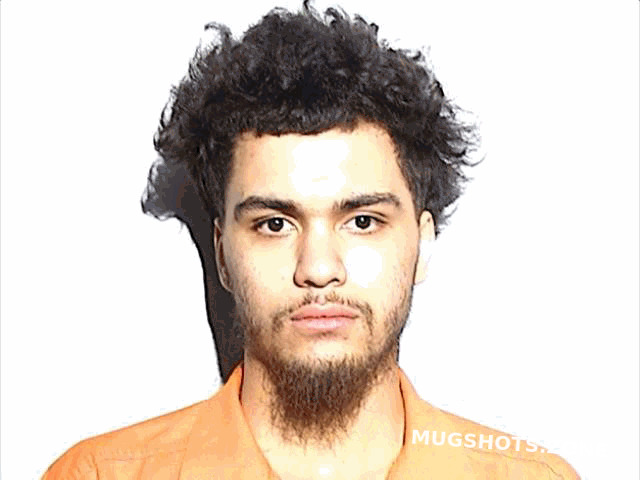 DOYLE RAYSHAWN THOMAS-NATHANIEL 11/12/2023 - Lucas County Mugshots Zone