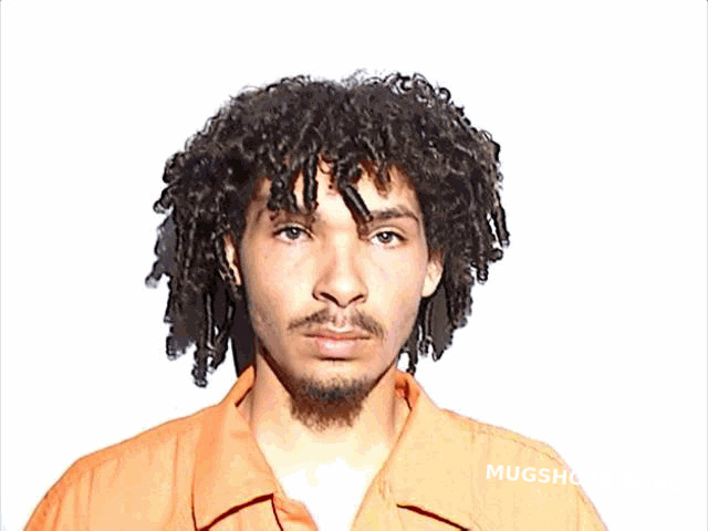 DENNIS DEANDRE ALEXANDER 11/14/2023 - Lucas County Mugshots Zone