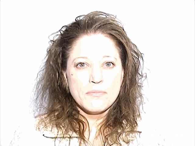 GIBBS LISA RENE 11/15/2023 - Lucas County Mugshots Zone