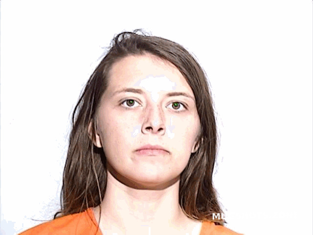 TINGLE RACHEL NICOLE 11/16/2023 - Lucas County Mugshots Zone