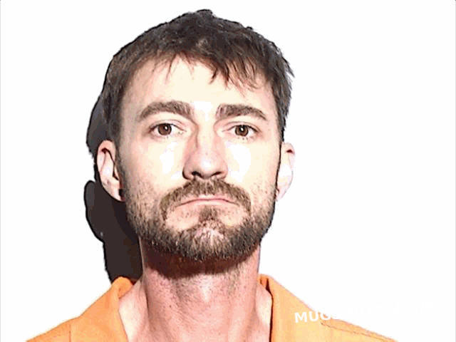 MCNULTY JAMES ALLEN 11/18/2023 - Lucas County Mugshots Zone