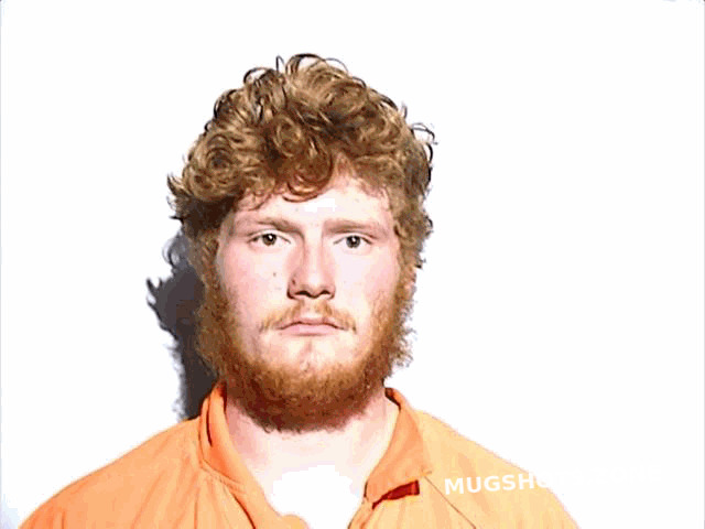 PURSEL AIDAN RYAN 11/19/2023 - Lucas County Mugshots Zone