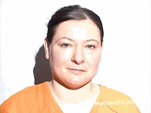 HESS TERRI ELIZABETH 11/21/2023 - Lucas County Mugshots Zone