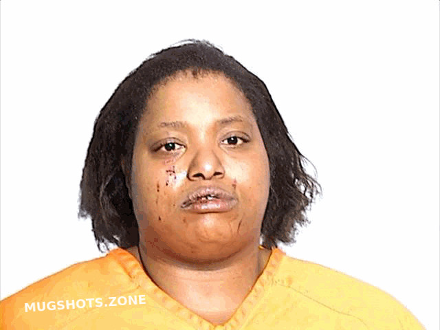 DARDEN SHANELL RENEE 11/25/2023 - Lucas County Mugshots Zone