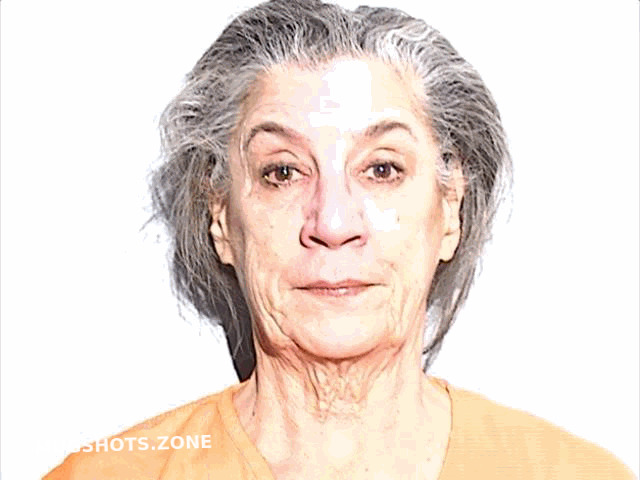 BURDEN DENISE MARIE 11/25/2023 - Lucas County Mugshots Zone